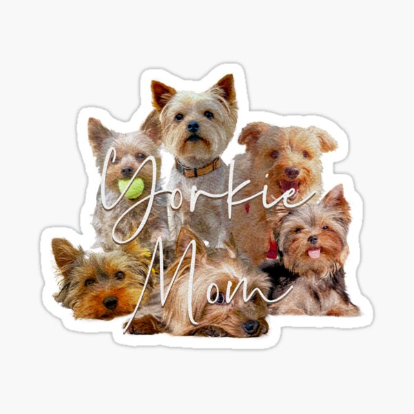 "Yorkie Mom" Sticker for Sale by CritterSticker | Redbubble