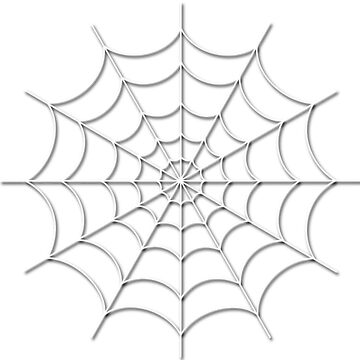 "Spider Web" Socks for Sale by ArtworkByCasey | Redbubble