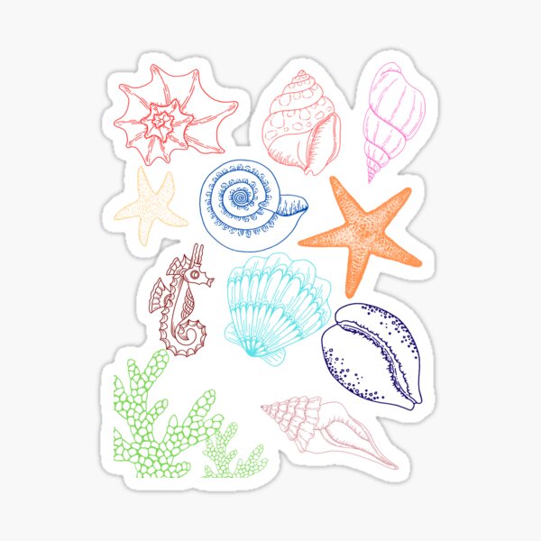 "Amazing Seashell " Sticker for Sale by MDahab | Redbubble