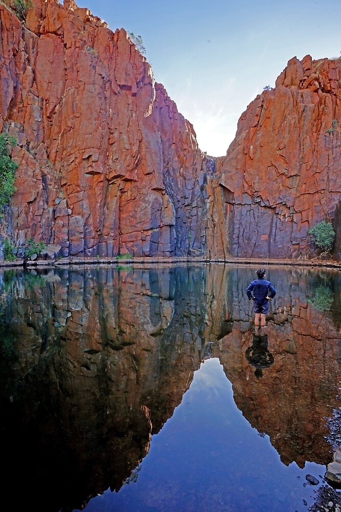 "Python Pool" by Harry Oldmeadow | Redbubble