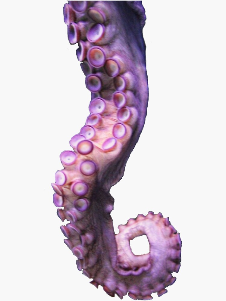 "Purple Squid Octopus Tentacle Sticker" Sticker for Sale by ...