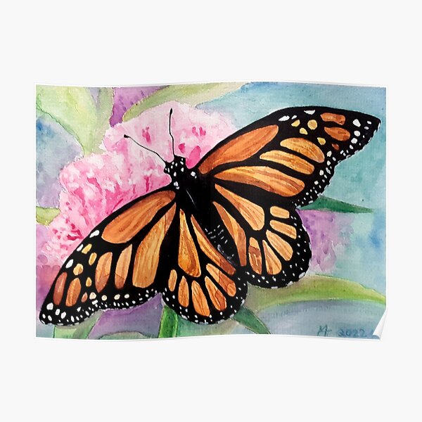 "Monarch Butterfly" Poster for Sale by haidasart | Redbubble