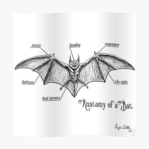 "Anatomy of a Bat" Poster for Sale by aparttimeturtle | Redbubble