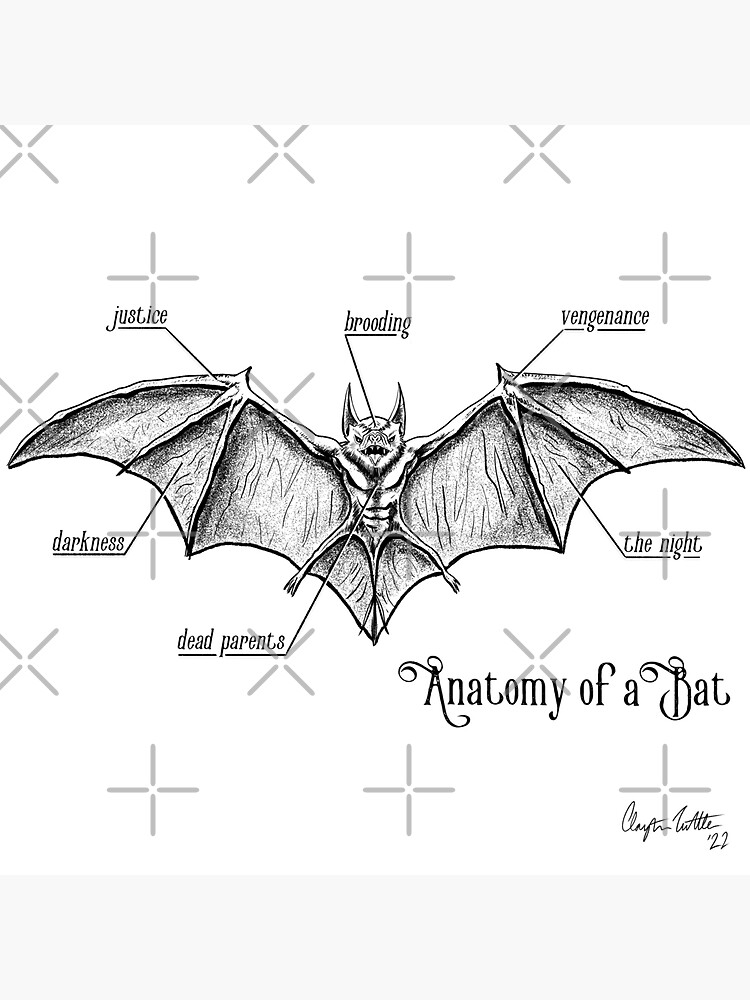 "Anatomy of a Bat" Sticker for Sale by aparttimeturtle | Redbubble