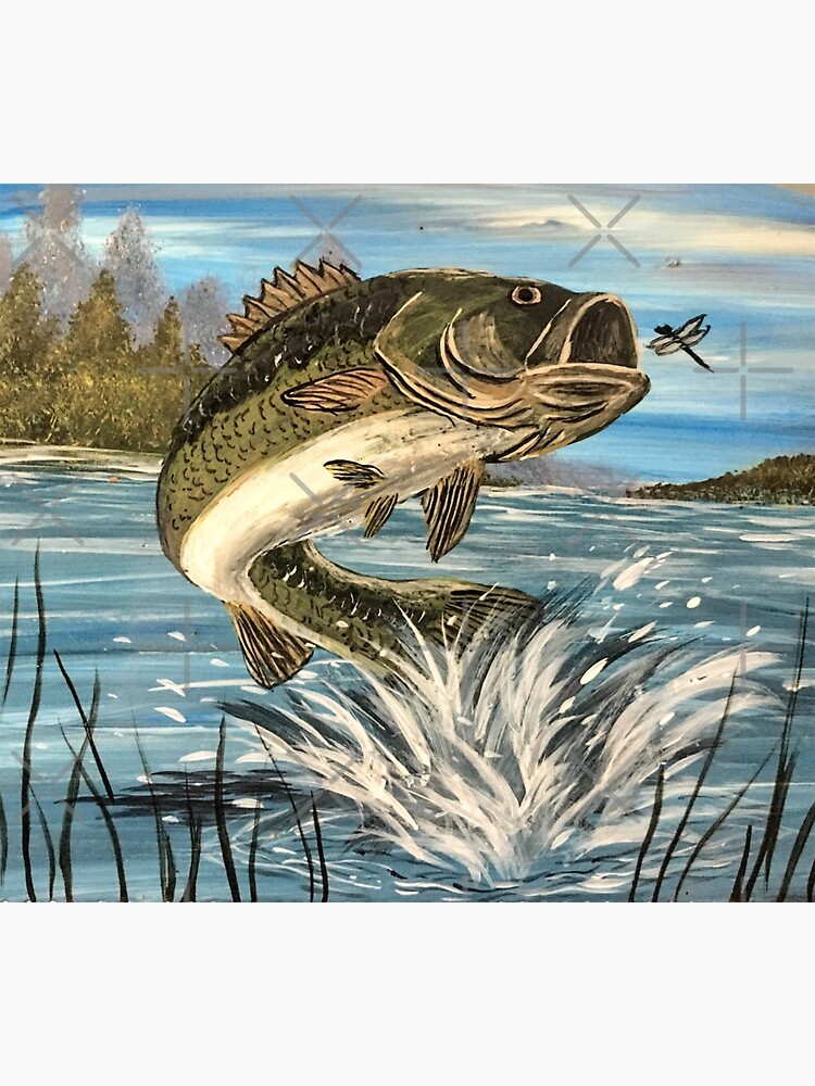 Largemouth Bass Jumping Drawing Amazon.co.jp: Jumping Sea Bass Fish
