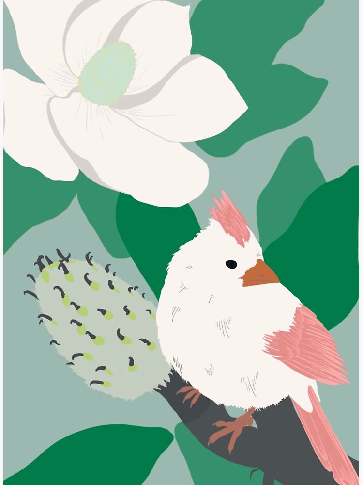 "White Cardinal Magnolia Nature Illustration" Sticker for Sale by kali ...