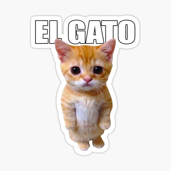 Pegatina «El Gato Meme Sad Crying Cat Munchkin Kitty Meme Trendy» de ...