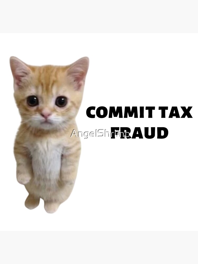 Tax Cat Memes Science Caturday: Tax Time – The Finch And Pea
