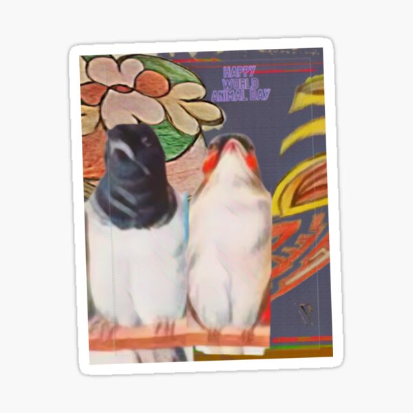 "Happy animal world day tweeties" Sticker for Sale by TriForceDesign ...