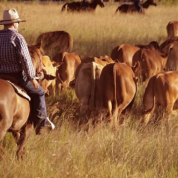 "Burrandowan Muster" Photographic Print for Sale by Penny Kittel ...