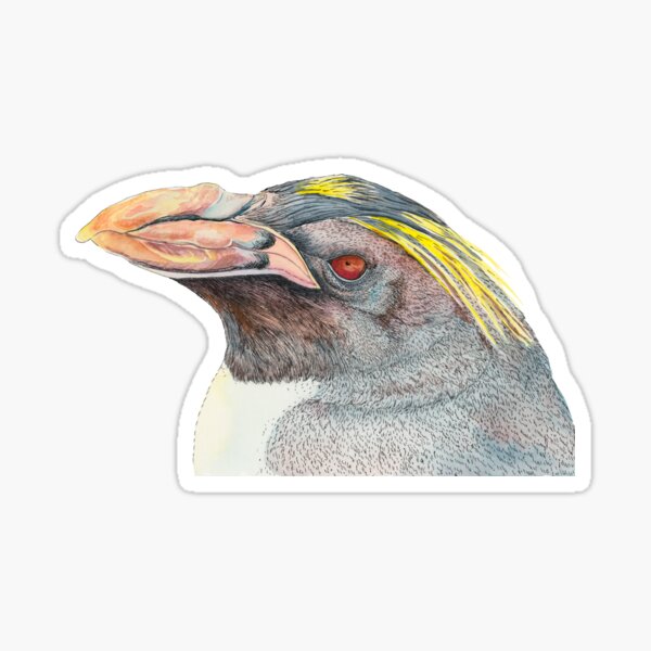"Macaroni Penguin - Antarctic bird" Sticker for Sale by zoyamakarova ...