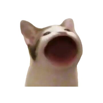 "Pop cat meme" Sticker for Sale by Kitoots | Redbubble
