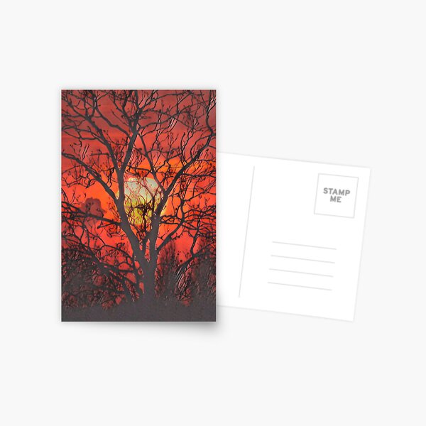 "Spooky Tree In Red Etching" Postcard for Sale by Fearless-Fox | Redbubble