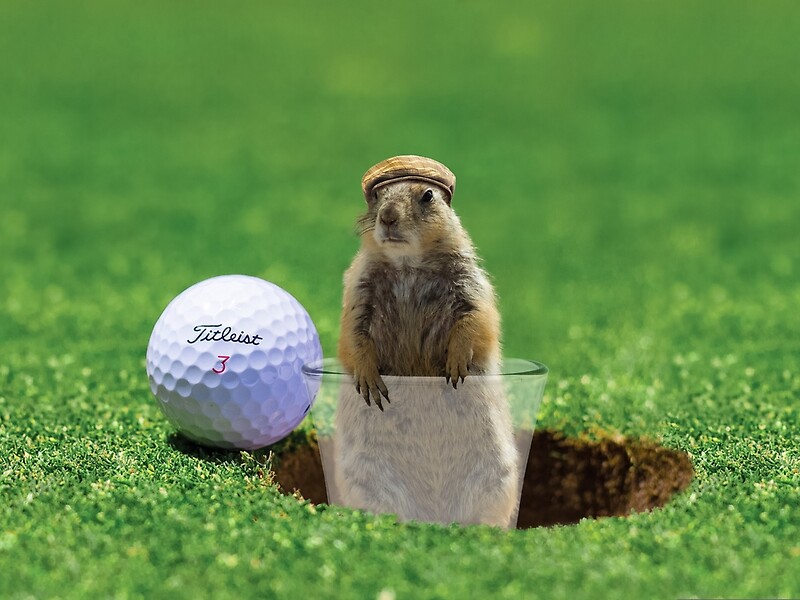 "Gopher Golf" by Randy Turnbow | Redbubble