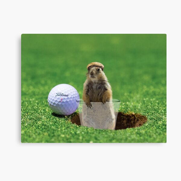 "Gopher Golf" Canvas Print for Sale by BigRedCurlyGuy | Redbubble