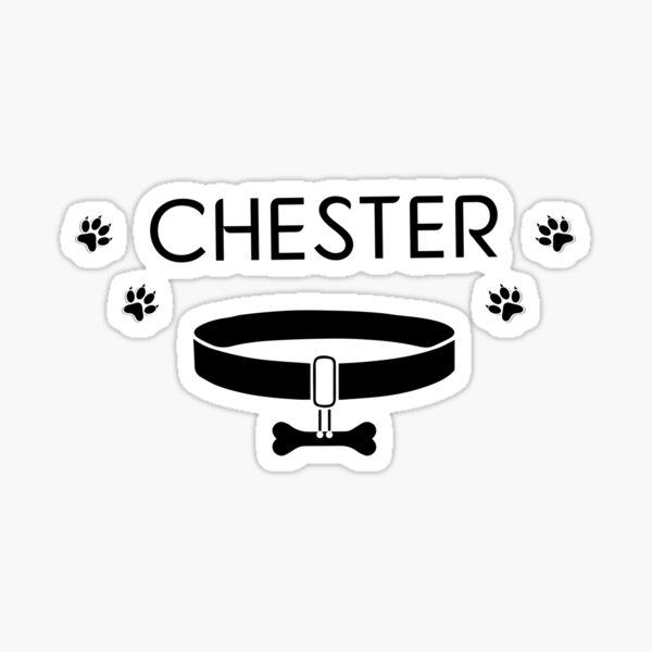 "CHESTER Pet's Name - My dog's name is CHESTER - CHESTER dog's Name ...
