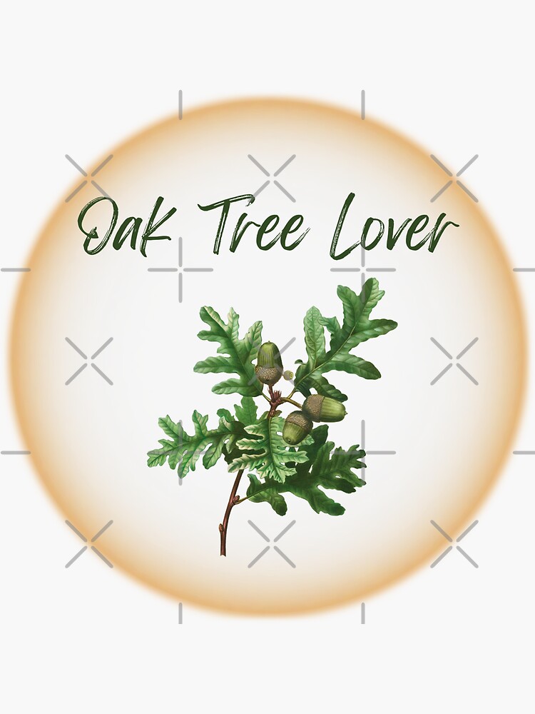"Oak tree lover - Old oak tree" Sticker for Sale by Rubi16 | Redbubble