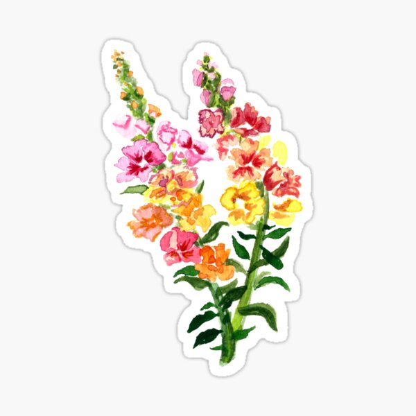 "vintage snapdragons" Sticker for Sale by elghachihades | Redbubble