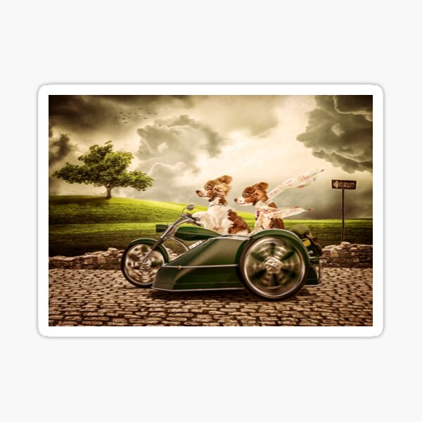 "Zoom zoom zoom!" Sticker for Sale by KibblyWibbly | Redbubble