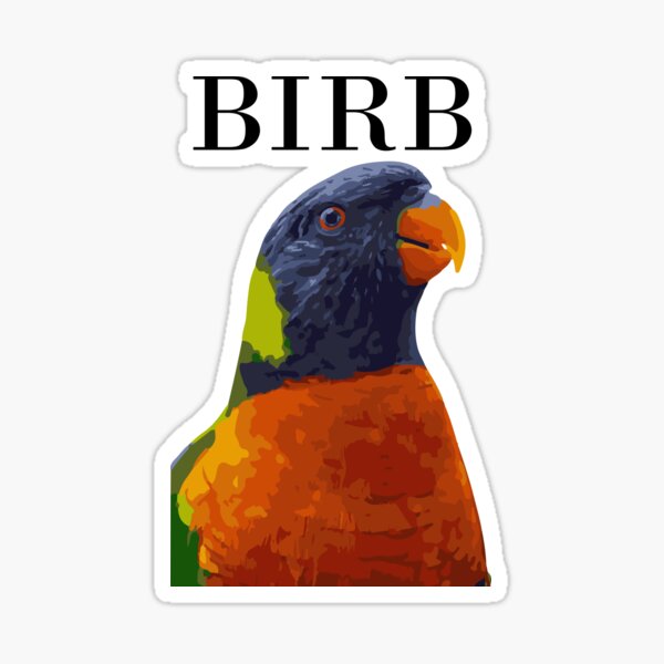 "Birb" Sticker for Sale by Battyvamp | Redbubble