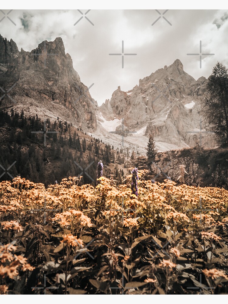 "Passo Rolle - Rolle Pass XI" Sticker for Sale by LucaRamble | Redbubble