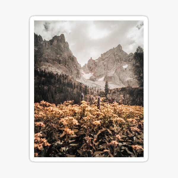 "Passo Rolle - Rolle Pass XI" Sticker for Sale by LucaRamble | Redbubble