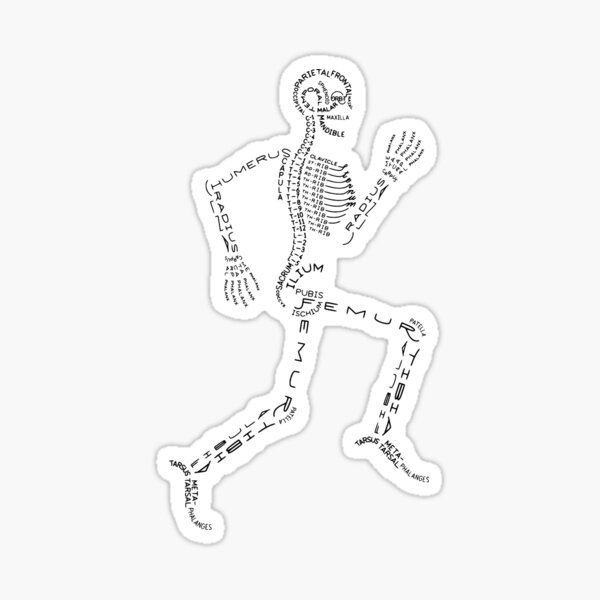 "Bones of The Body Typogram " Sticker for Sale by bauerhailey | Redbubble