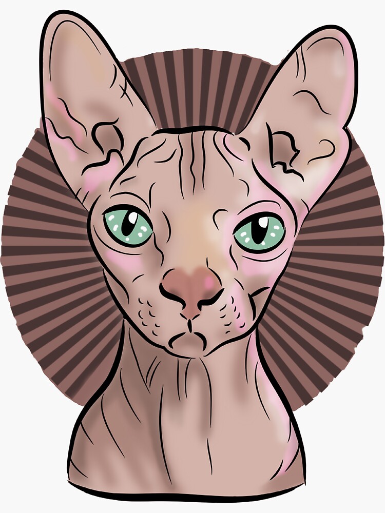 "Lovely Sphynx Cat" Sticker for Sale by Pet-N-Paw | Redbubble