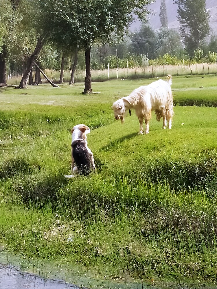 "sign of peace Dog with a goat" Sticker for Sale by Naturify | Redbubble