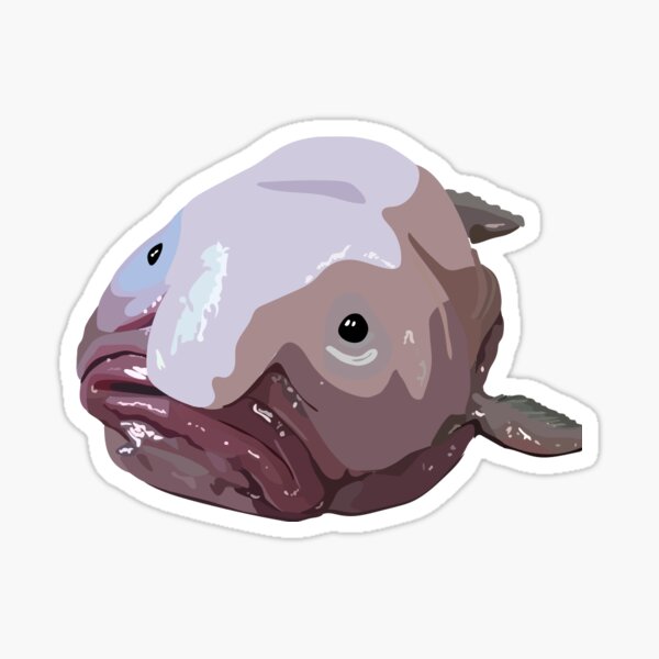 Blobfish Gifts & Merchandise for Sale | Redbubble
