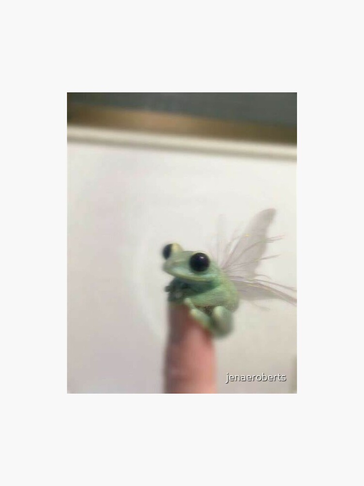 "Fairycore frog" Sticker for Sale by jenaeroberts | Redbubble