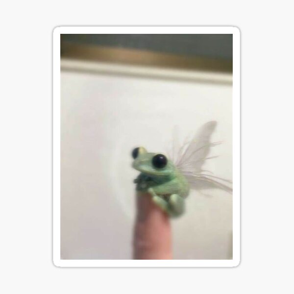 "Fairycore frog" Sticker for Sale by jenaeroberts | Redbubble