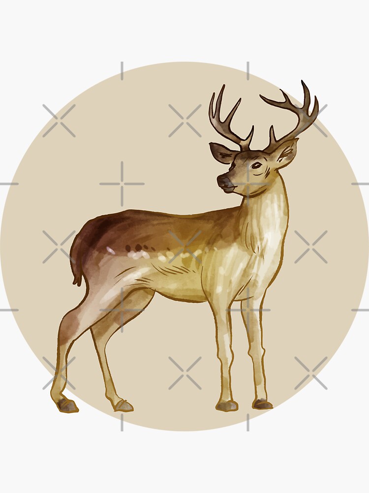 "Watercolor dear with round color background" Sticker for Sale by ...