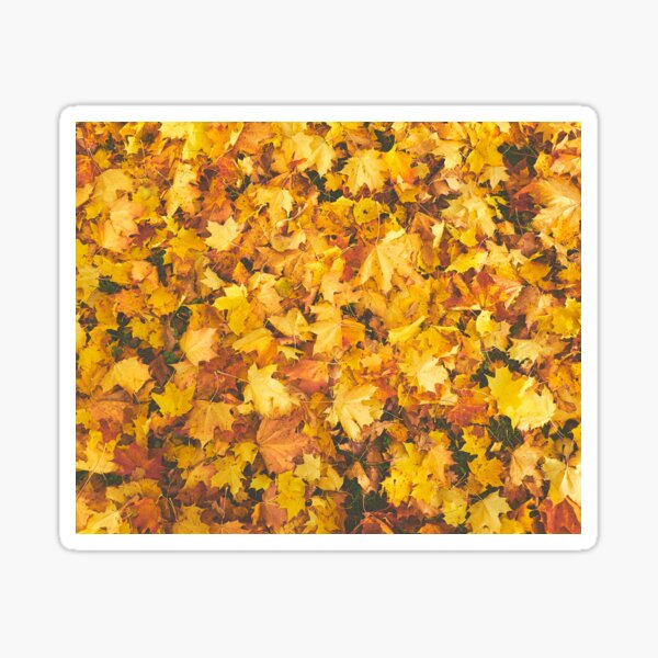 "Dry autumn leaves " Sticker for Sale by Krishnaviart | Redbubble