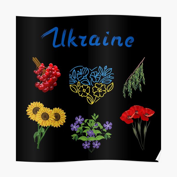 "Symbols of Ukraine (flowers)" Poster for Sale by 1PrintWorld | Redbubble