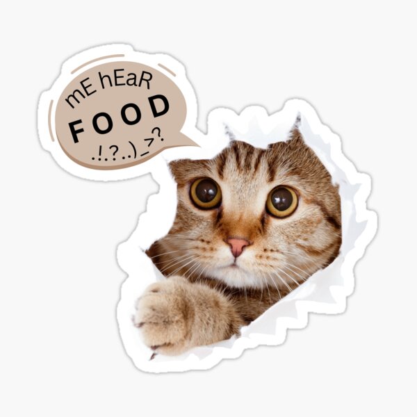 "Cute Cat Me Hear Food Think Bubble" Sticker for Sale by ...