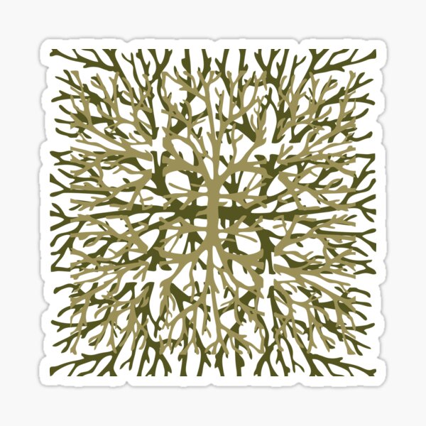 "Tree Branch and Root" Sticker for Sale by janiceadams58 | Redbubble