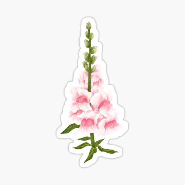 "Vintage Snapdragon flower watercolor" Sticker for Sale by ...