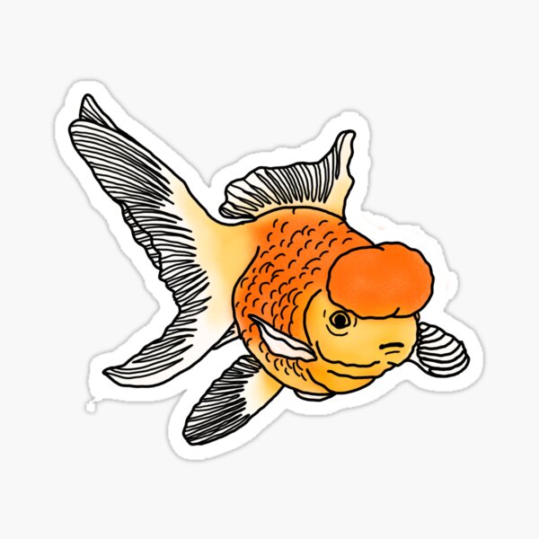 "Pearlscale Goldfish" Sticker for Sale by Animster | Redbubble