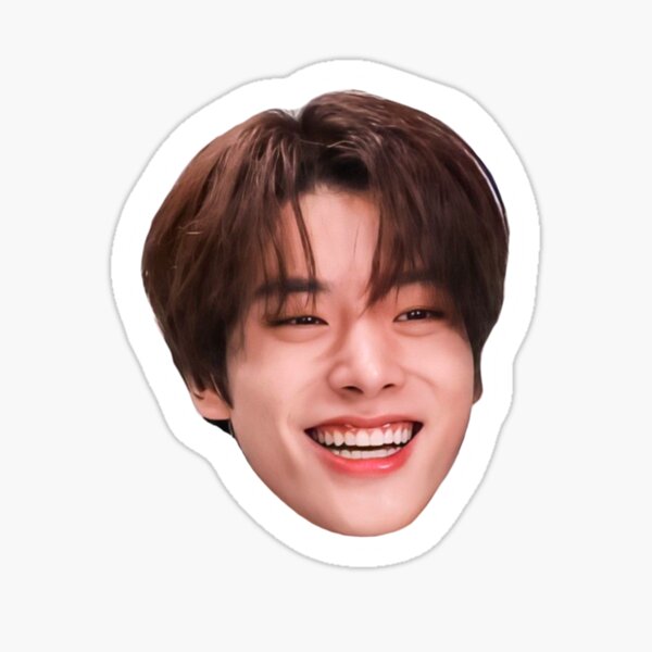 "Jake Enhypen Face" Sticker for Sale by VANESSOHN | Redbubble