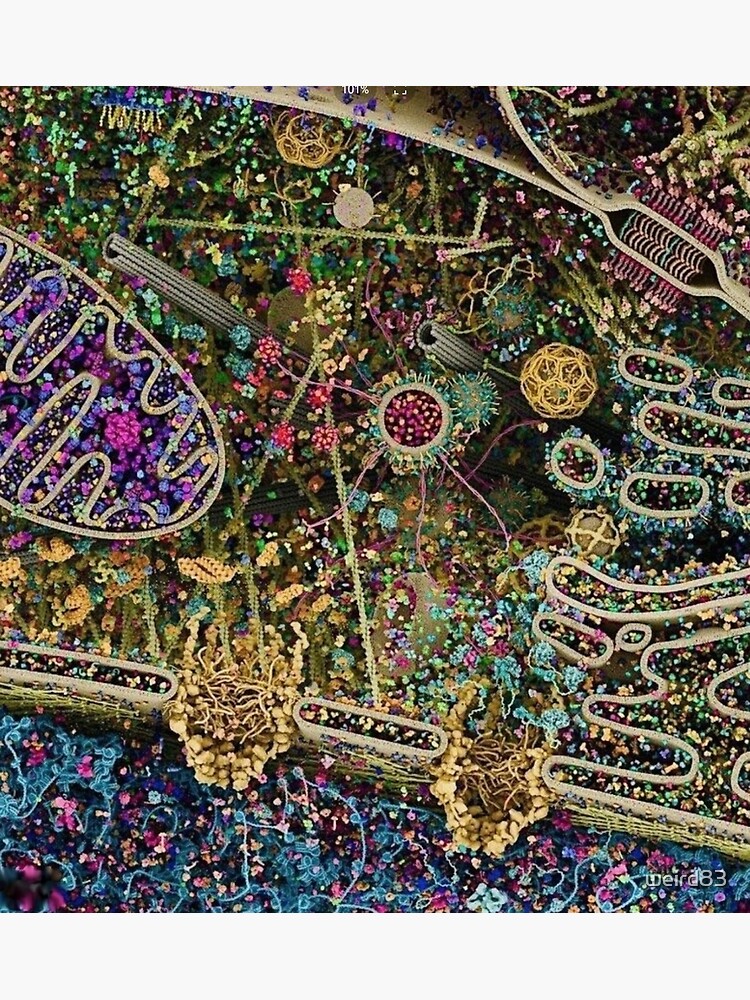 "Microscopic organisms cell structure cell wall creatures micro ...