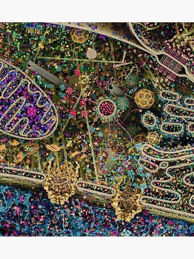 "Microscopic organisms cell structure cell wall creatures micro ...