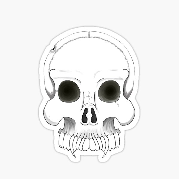 "Vampire skull, partial" Sticker for Sale by CreepyCoyote | Redbubble