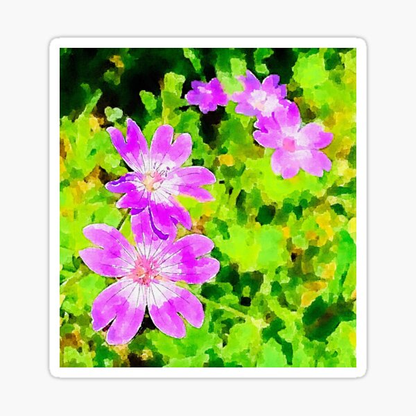"Geranium pyrenaicum" Sticker for Sale by Floral-Art | Redbubble