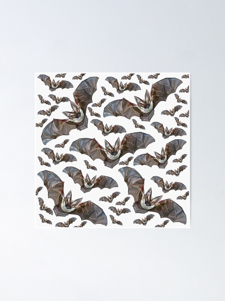 "Bats by BeeFoxTree, Long Eared Bats, Bats Bats and More Bats" Poster ...