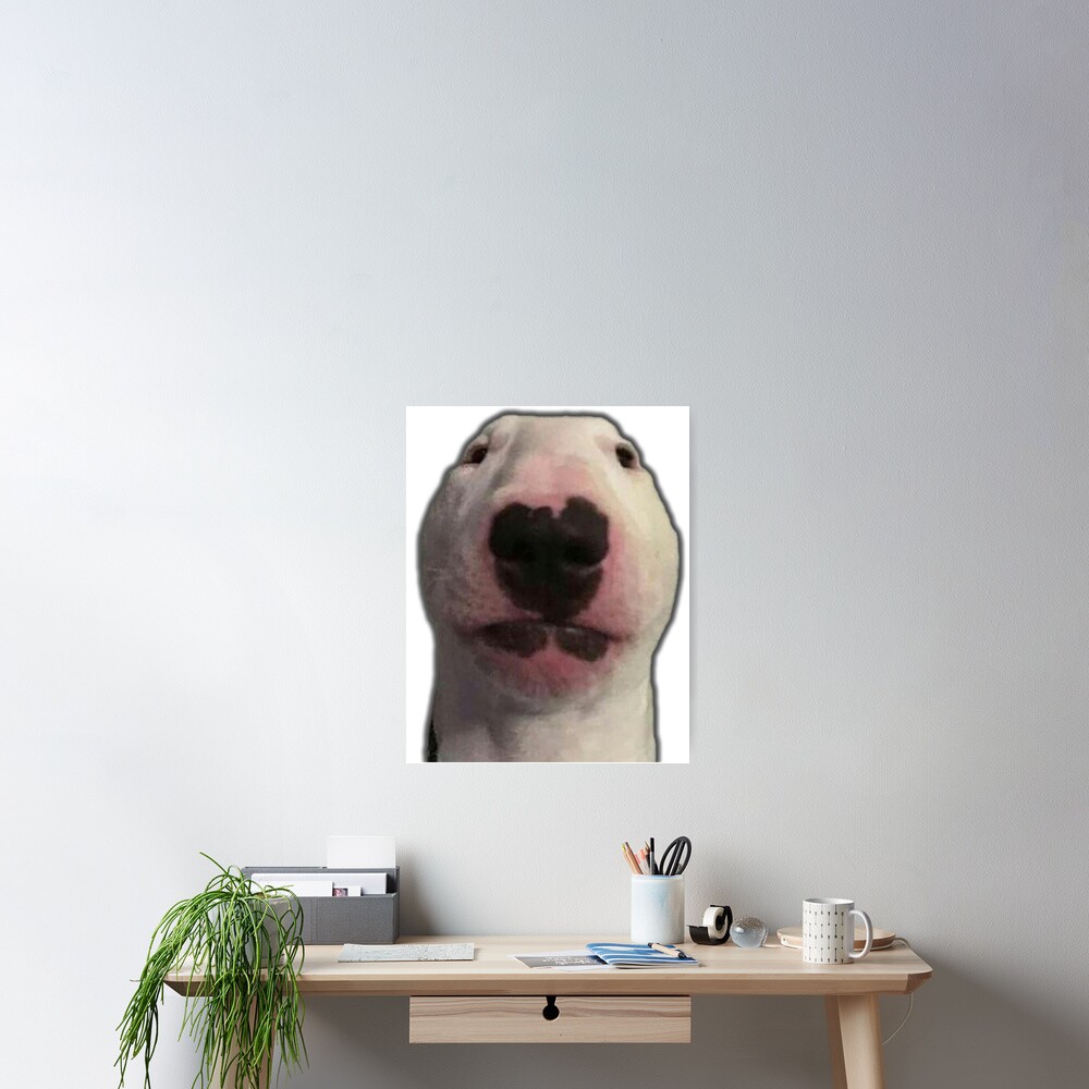 "Walter Dog Meme" Poster for Sale by martimmendes | Redbubble