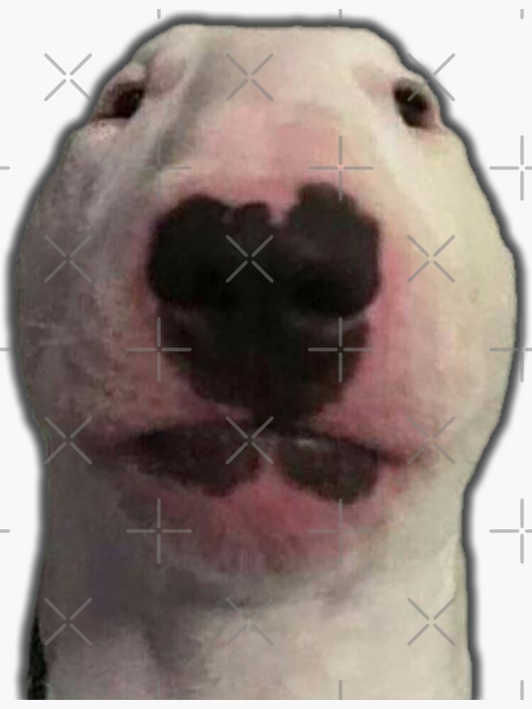 "Walter Dog Meme" Sticker for Sale by martimmendes | Redbubble