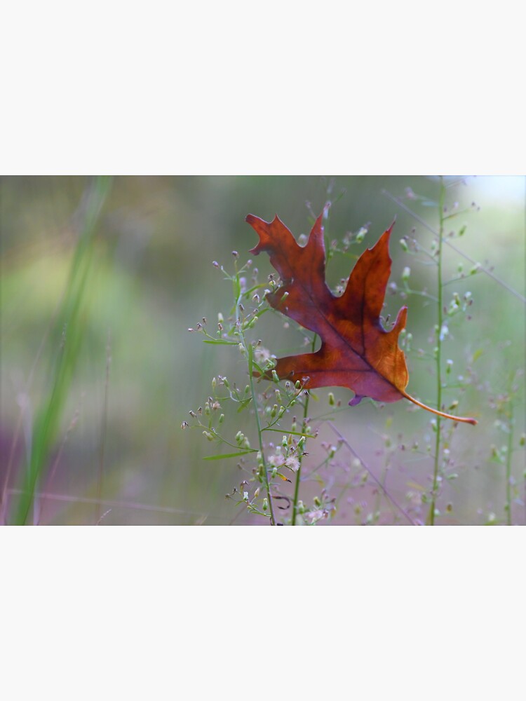 "Fall Awe" Sticker for Sale by KBarrett-ForAwe | Redbubble