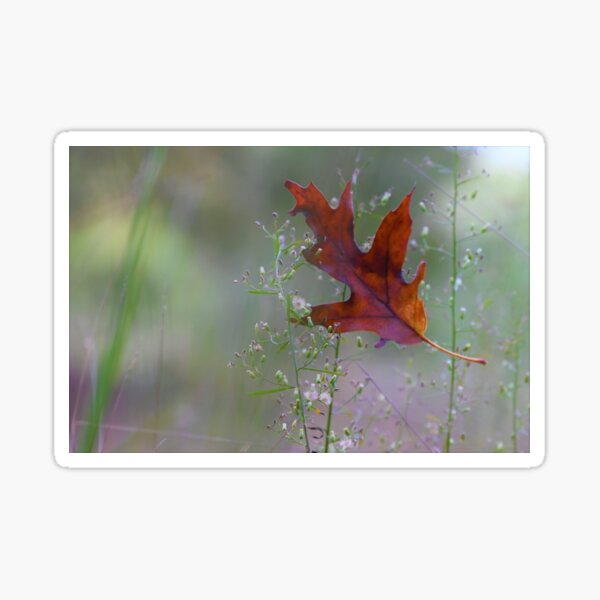 "Fall Awe" Sticker for Sale by KBarrett-ForAwe | Redbubble