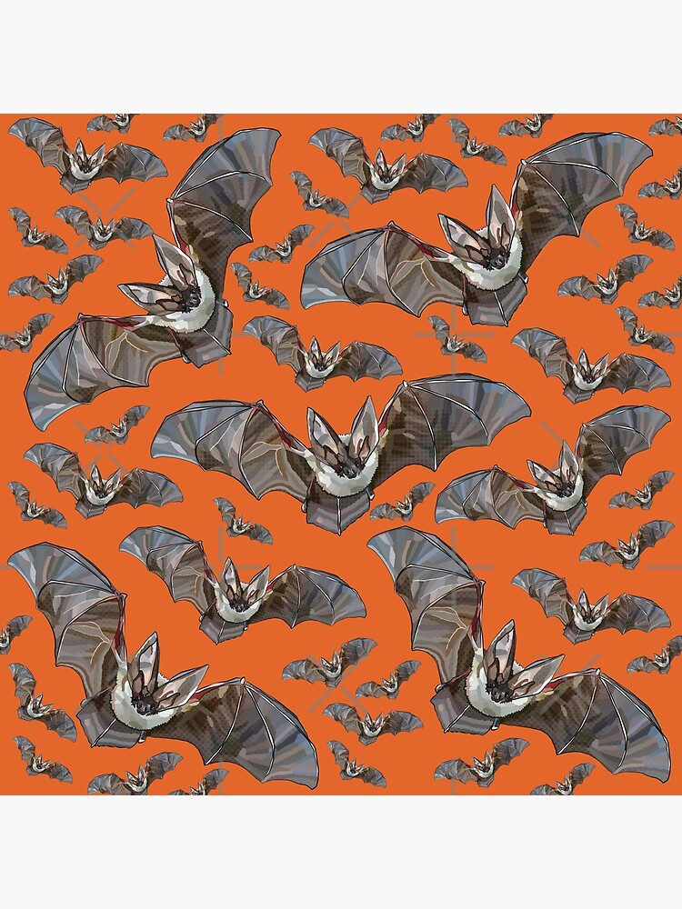 "Batty Batty Bat Bat - Bats by BeeFoxTree, Long Eared Bats, Bats Bats ...